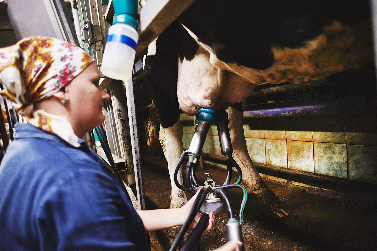 Азорель. Від щедрої корівки